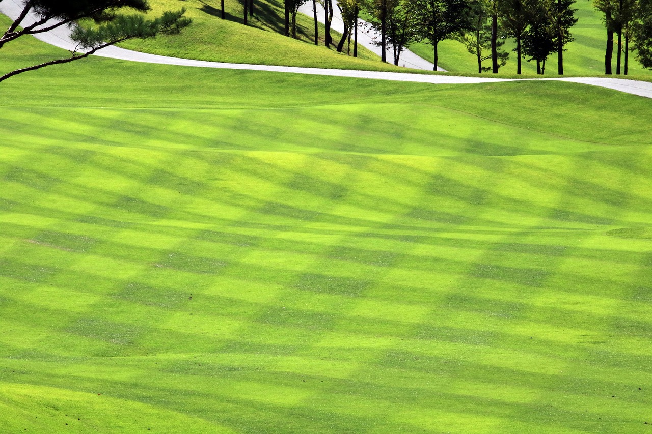 Fairway Rules: Essential Guidelines for Proper Golf Course Etiquette ...